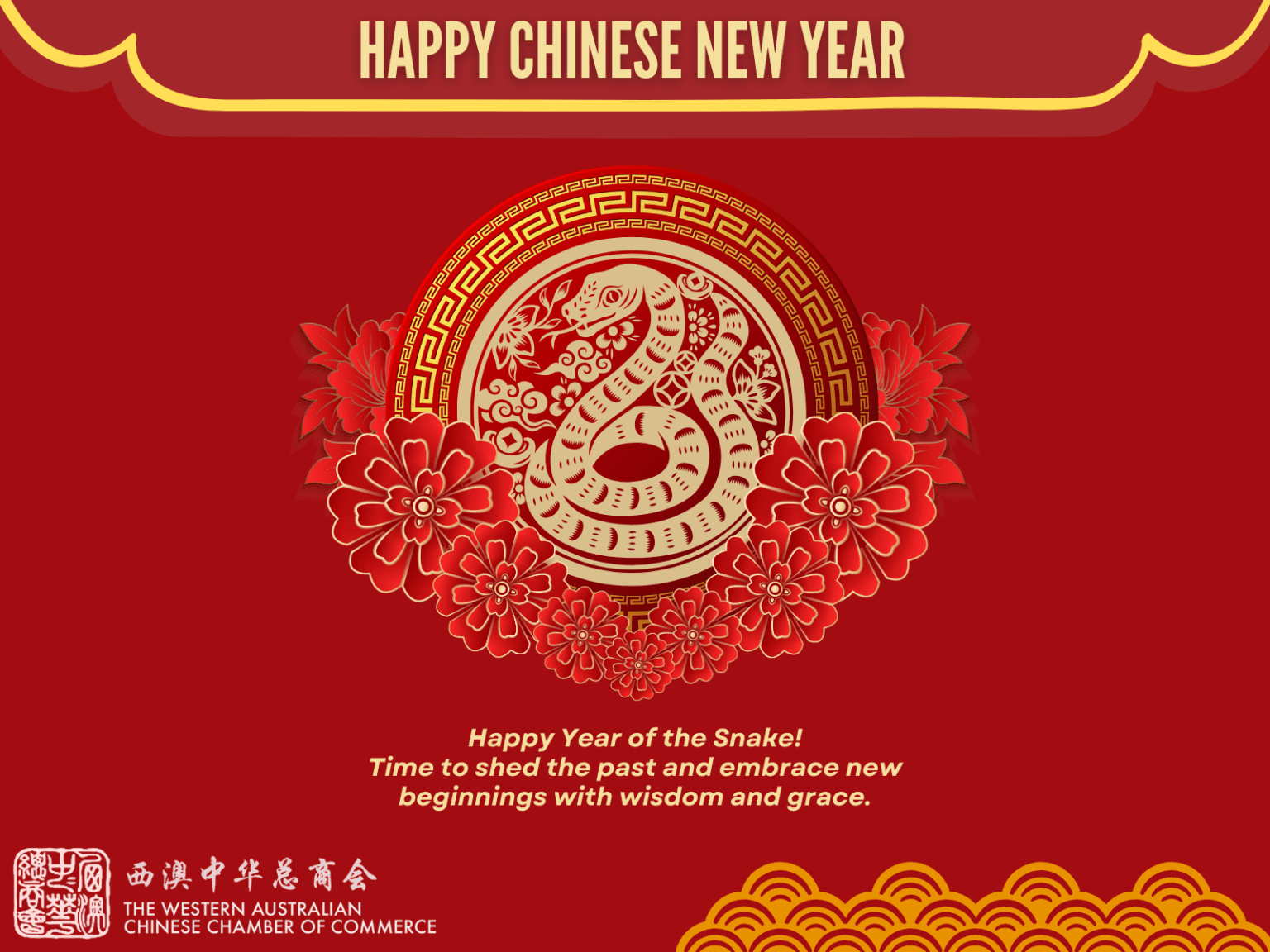 Waratah Program WA Launches to Champion Inclusive Leadership Across ...